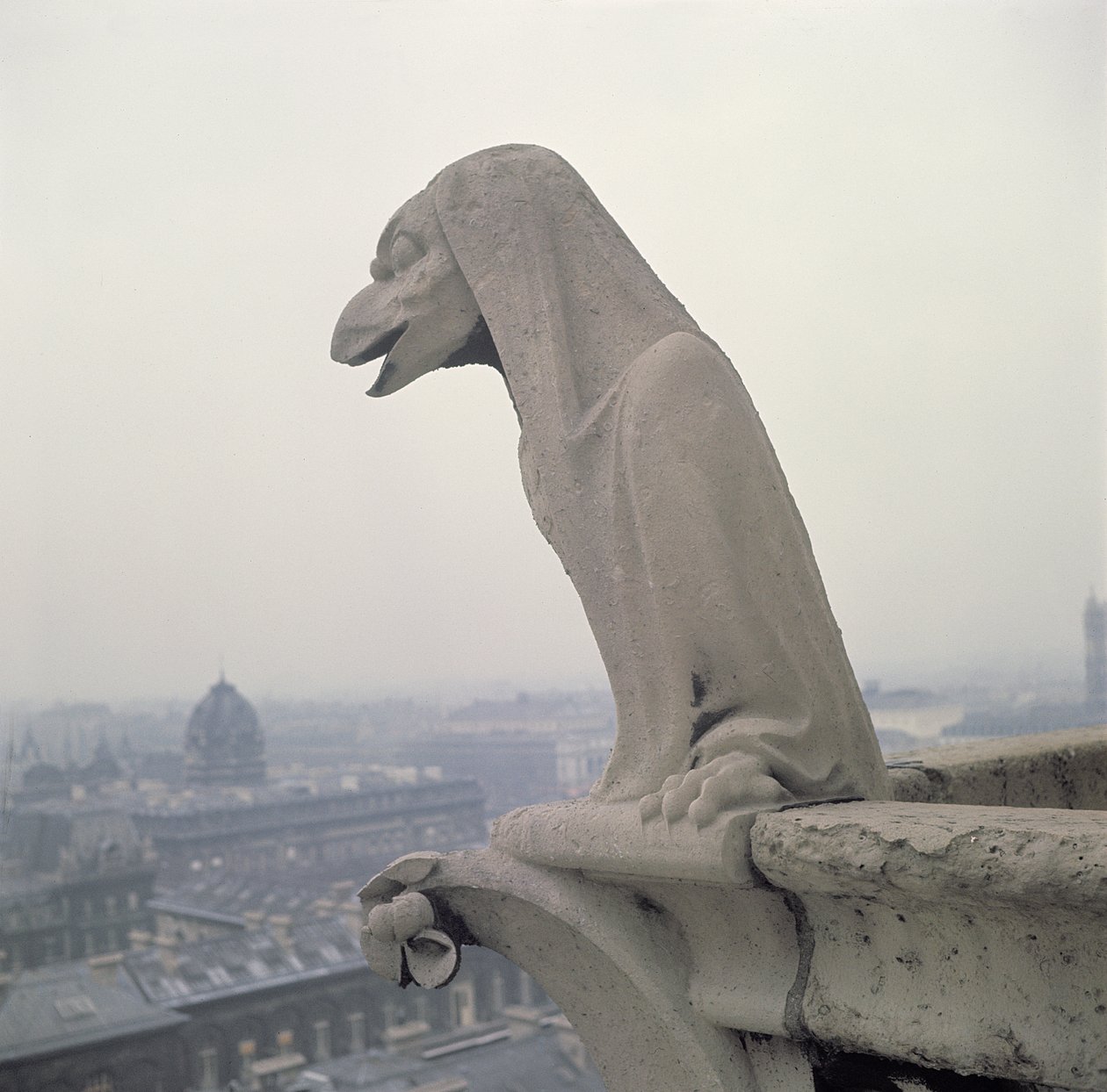 Gargoyle on the balustrade of the Grande Galerie, replica of a 12th ...