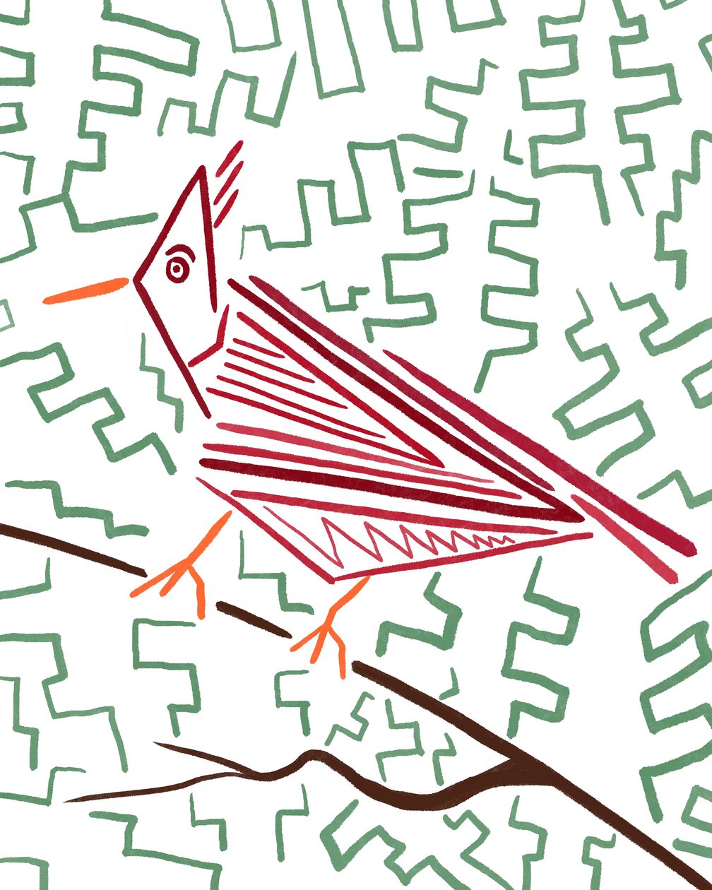 Cardinal by Evan Sklar: Premium art reproduction