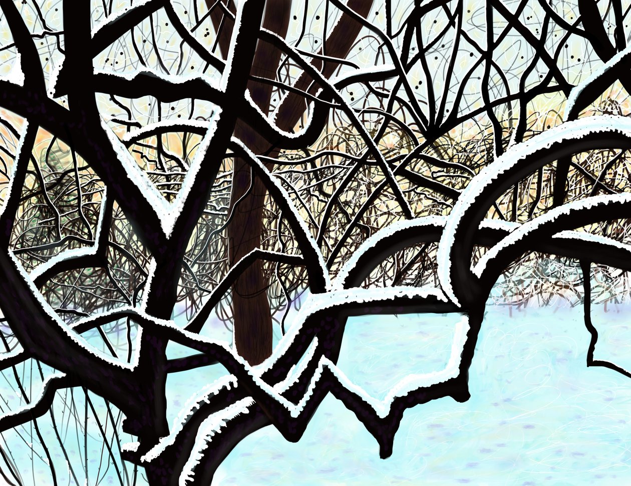 Cherry Tree In Snow, Brooklyn by Evan Sklar