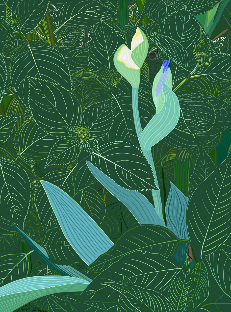 Iris and Hydrangea by Evan Sklar: Buy fine art print