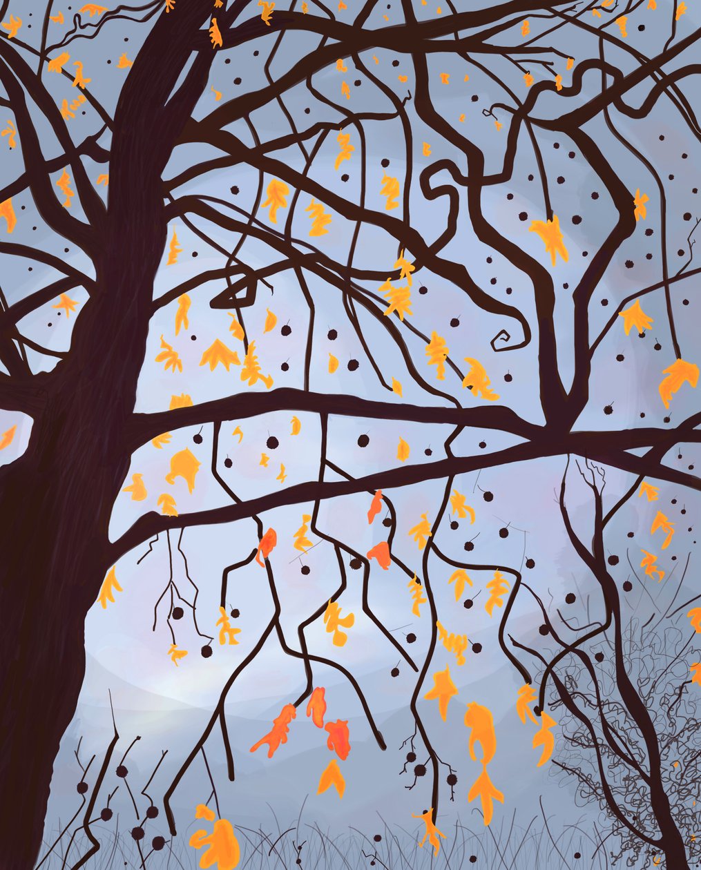 London Planetree, Brooklyn by Evan Sklar: Fine art print