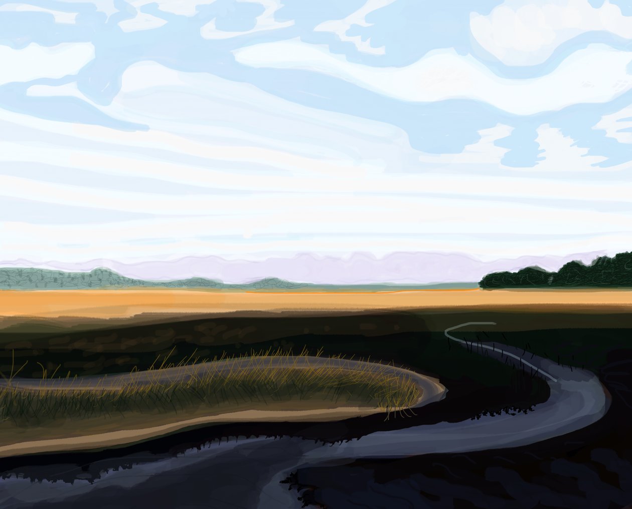 Low Country, 2016 by Evan Sklar: Buy fine art print