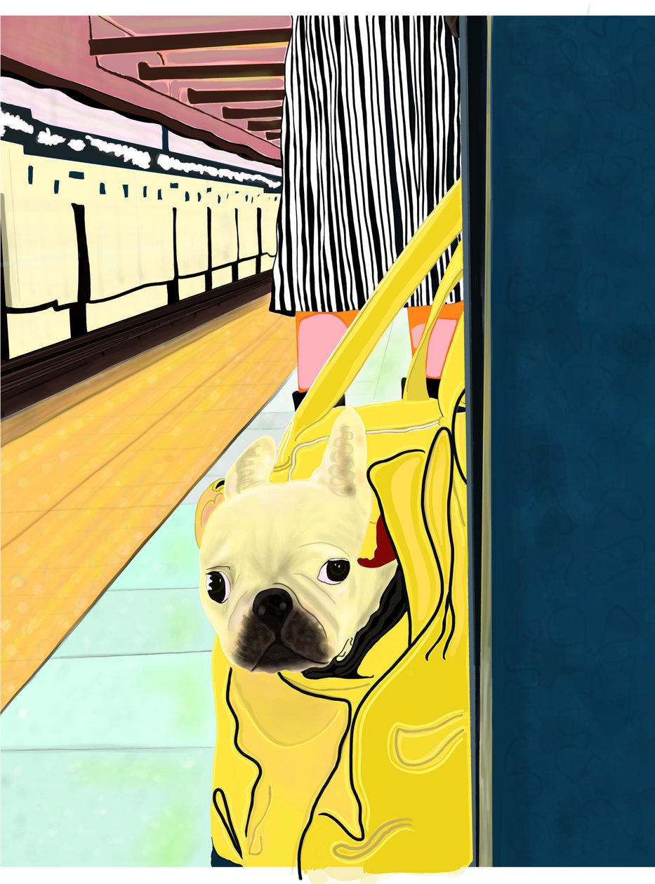 Subway Commuter with Dog In Bag, Brooklyn by Evan Sklar