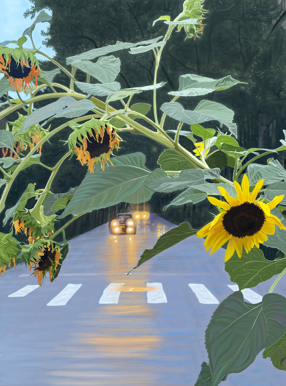 Sunflowers and Cars on Treelined Street at Dawn