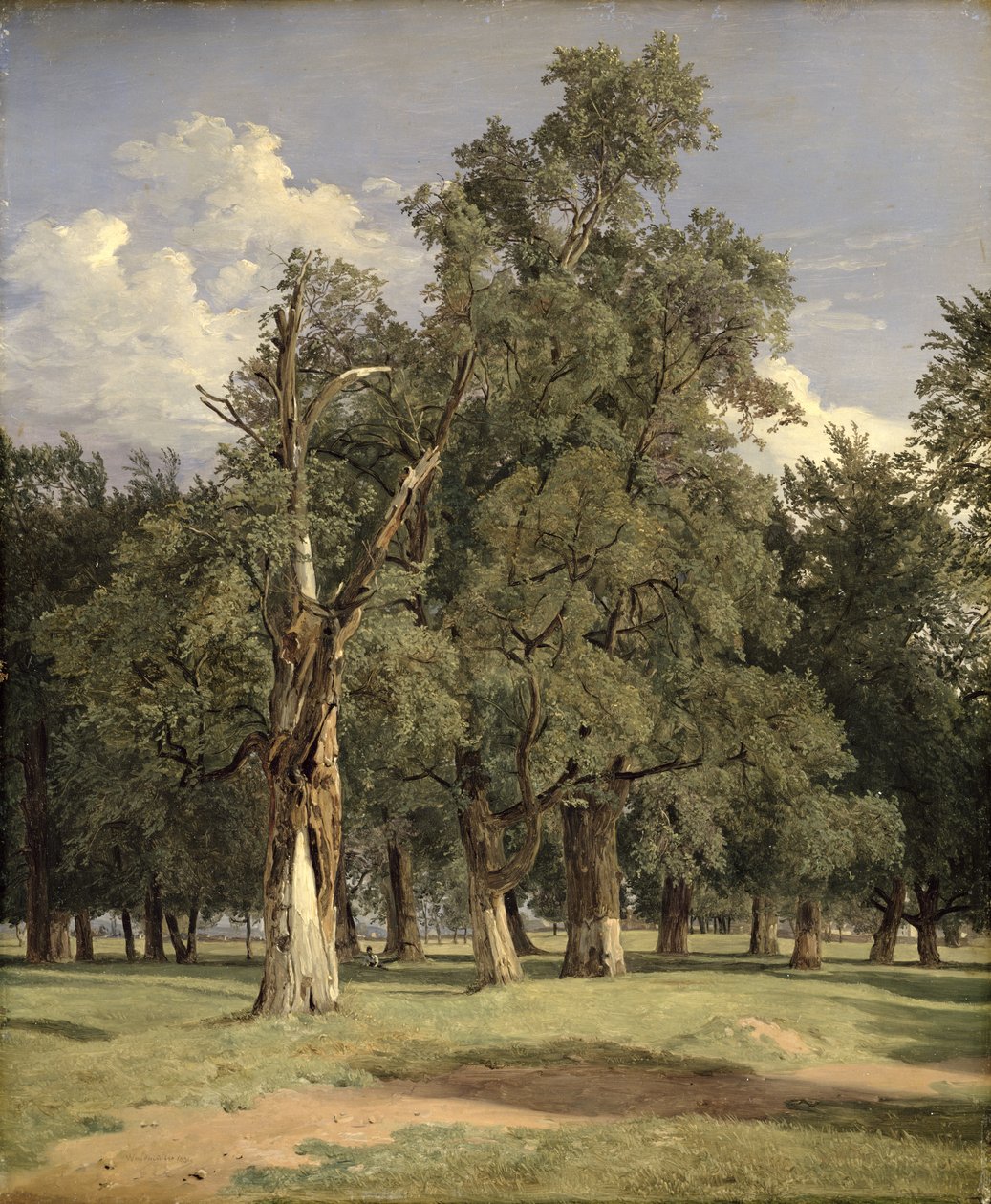 Elm Trees in Prater by Ferdinand Georg Waldmuller