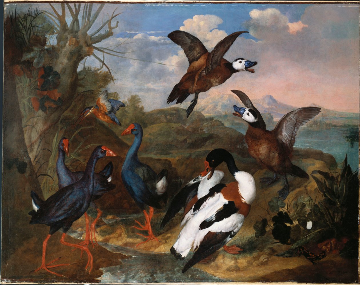 Shell Ducks and other Fowl in a Landscape