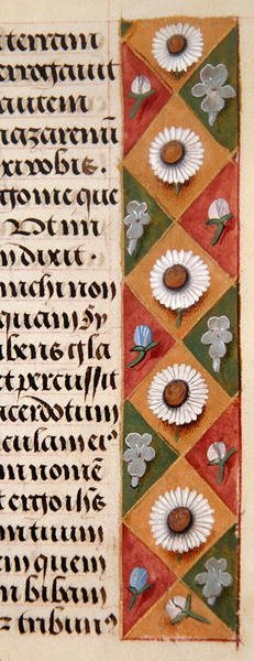 Detail of a Floral Border from a Book of Hours, c.1500