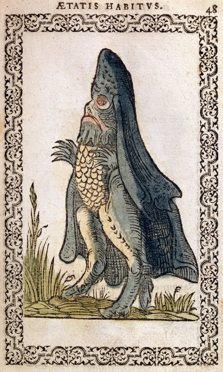 The Sea Bishop or sea monster, illustration from Omnium fere gentium ...