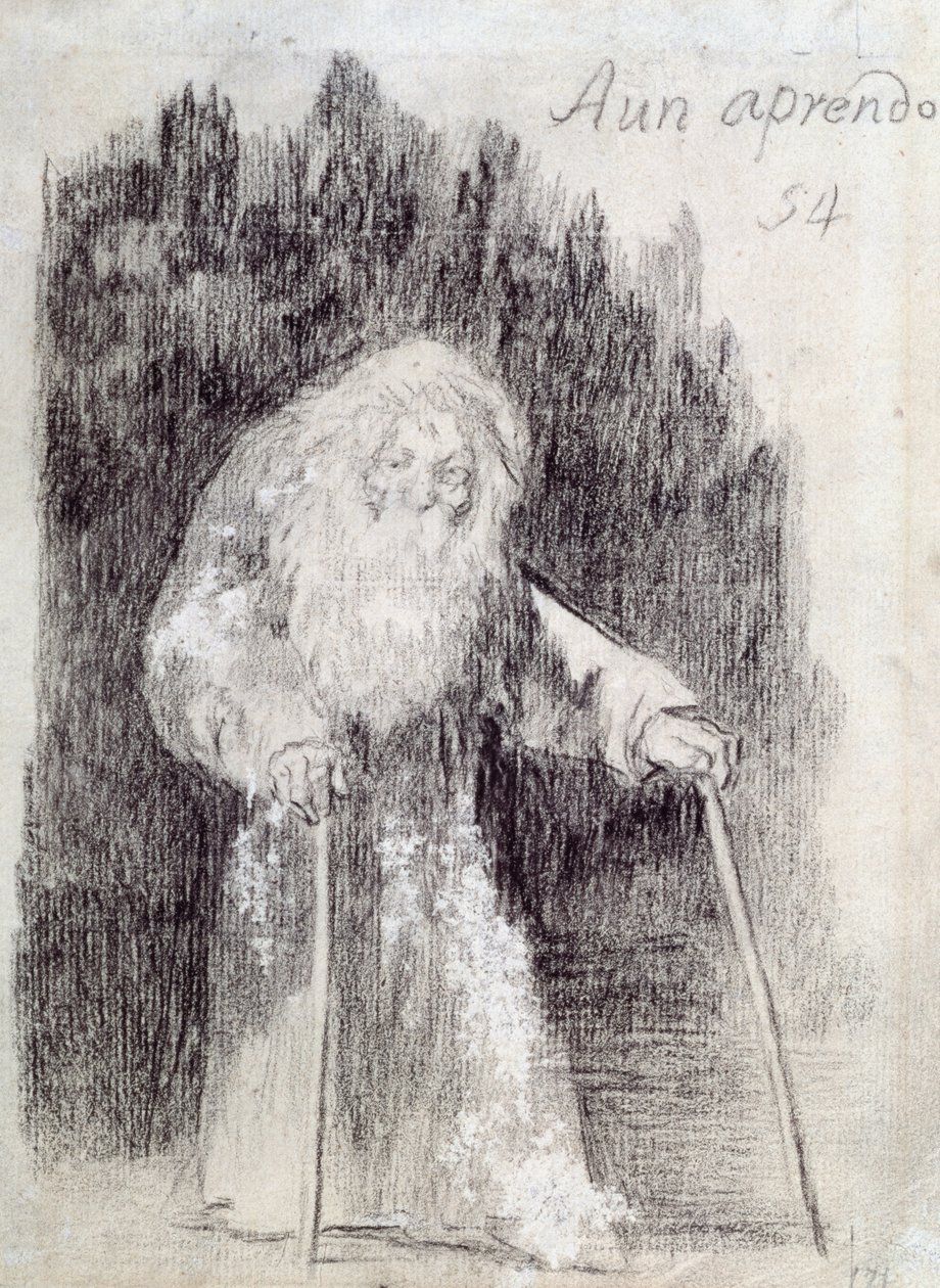 I Am Still Learning by Francisco de Goya: Fine art print