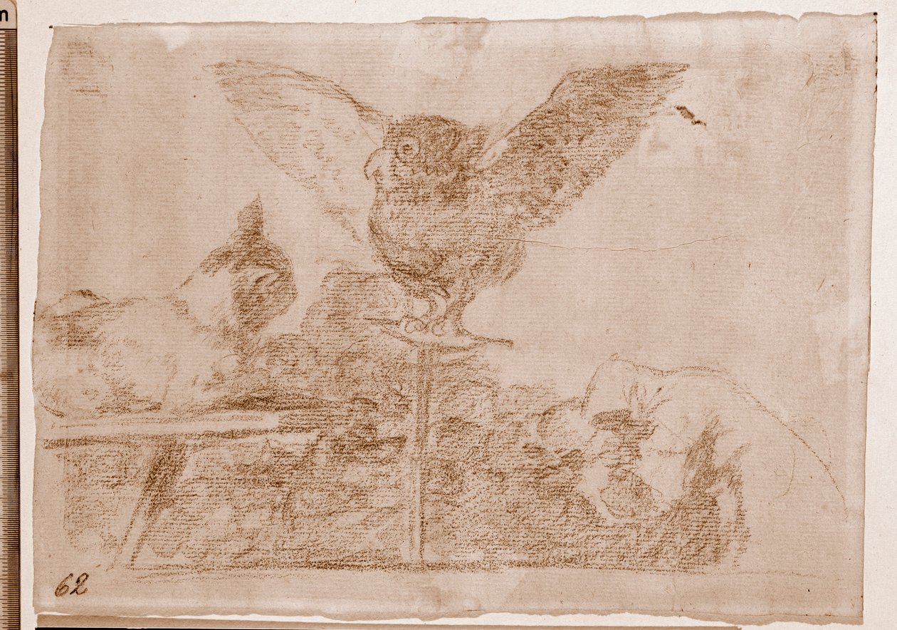 The Disasters of War: Cat Pantomime by Francisco de Goya