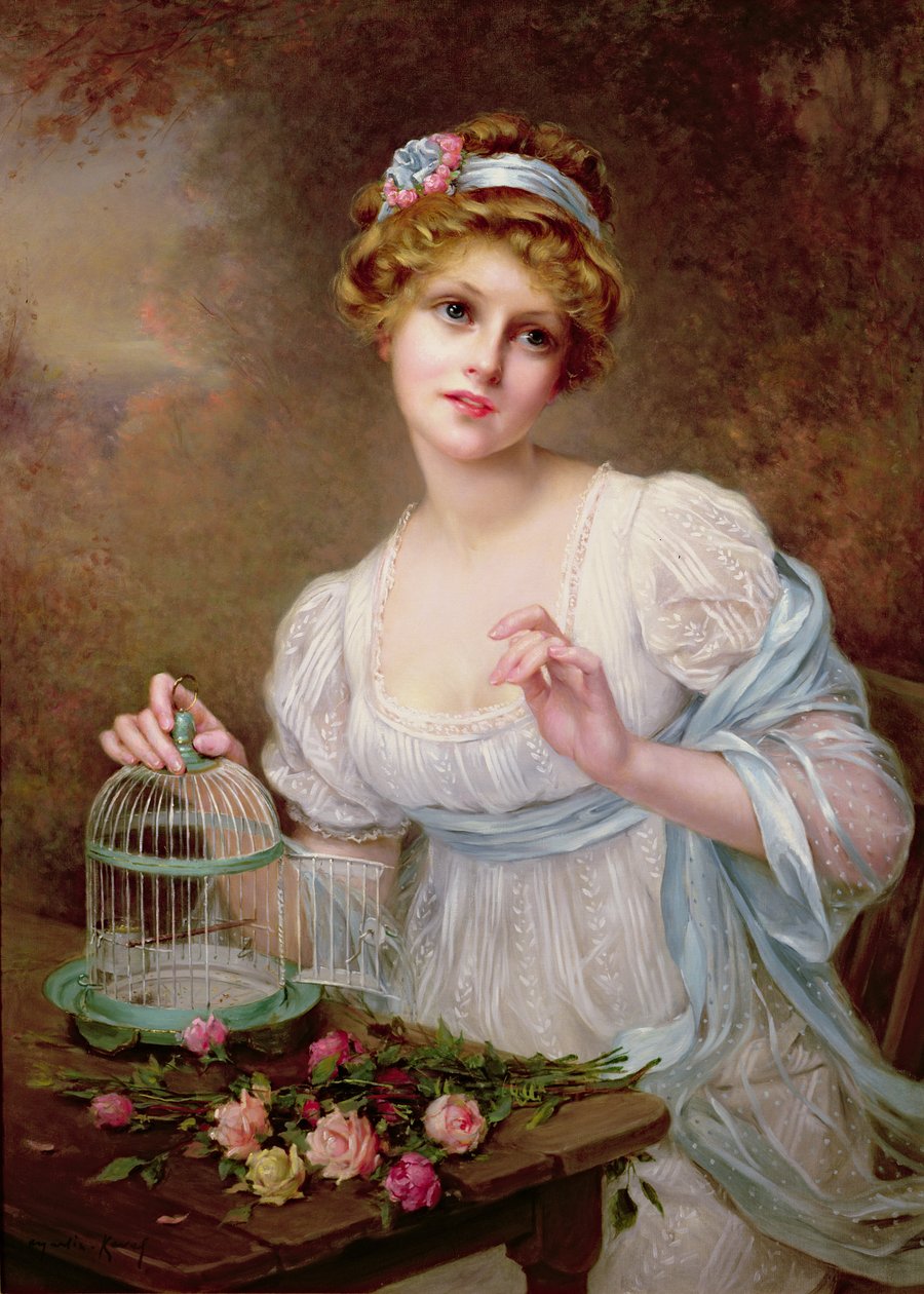 The Empty Birdcage by Francois Martin-Kavel