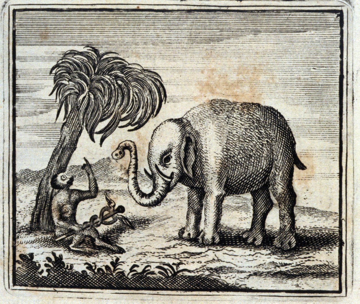 The Elephant and the Monkey of Jupiter. Fables by Jean de La Fontaine ...