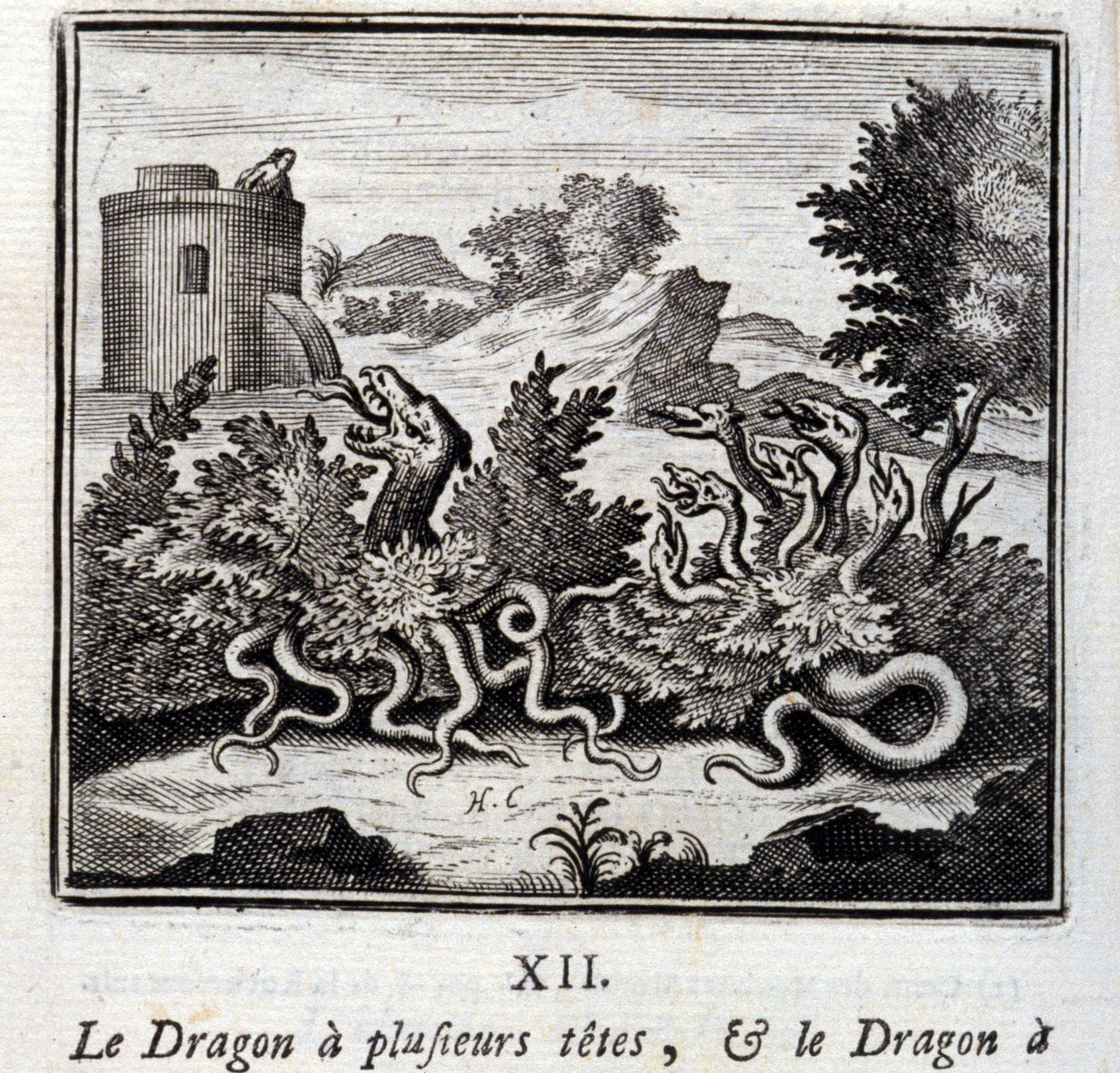 The Dragon with Several Heads and the Dragon with Several Tails