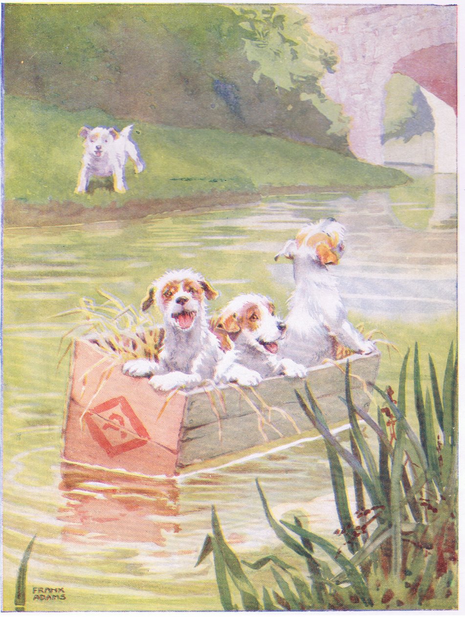 Adrift by Frank Adams: Highest-quality art reproduction