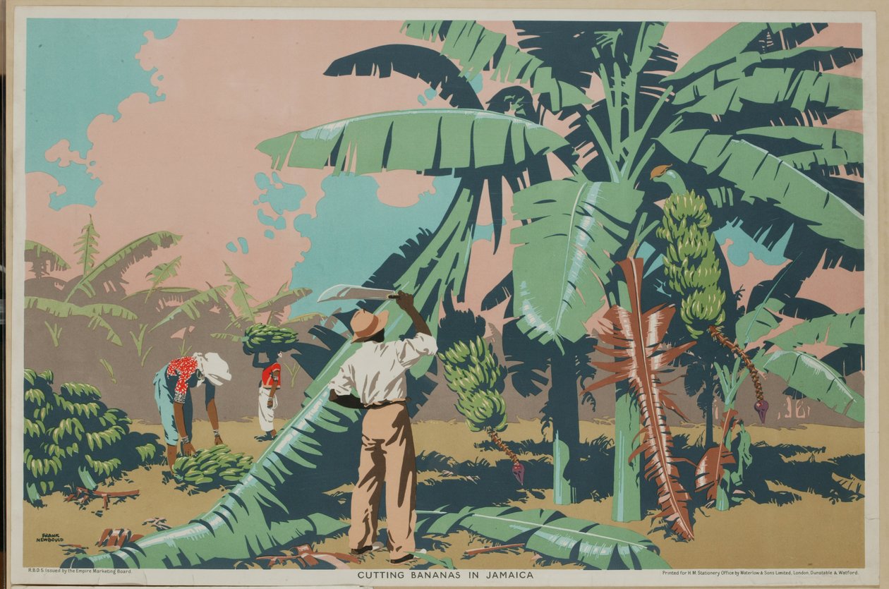 Cutting Bananas in Jamaica by Frank Newbould