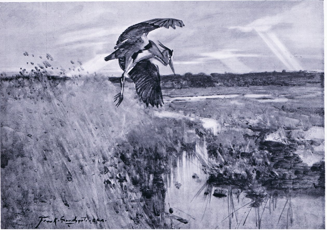 Jack Harnser-Heron by Frank Southgate: Buy fine art print