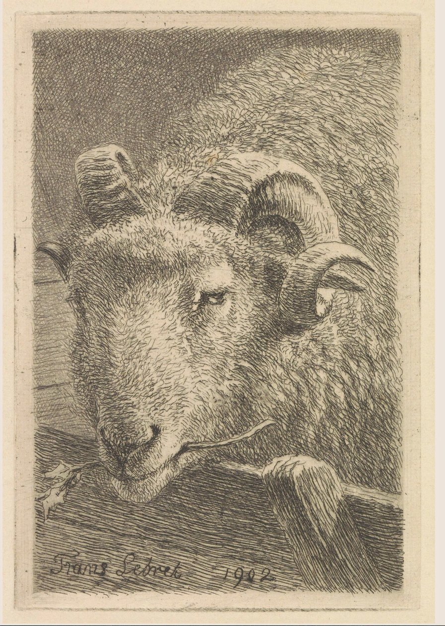 Head of a ram by Frans Lebret: Buy fine art print