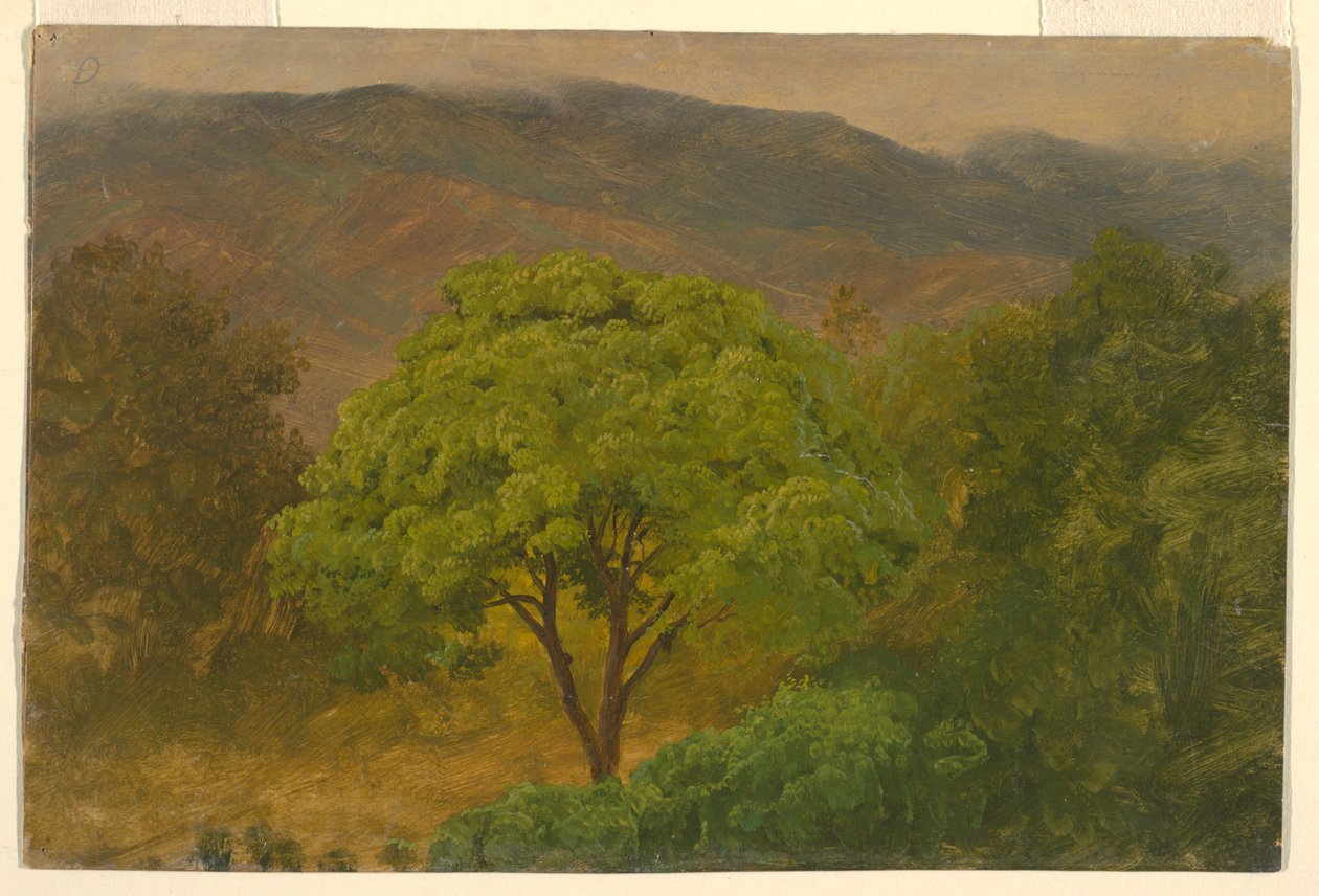 Mountain Landscape, August 1865 by Frederic Edwin Church