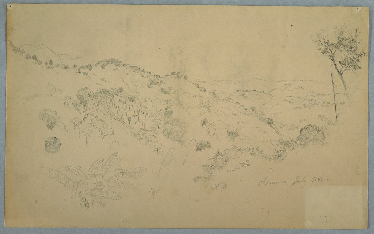 Drawing, Wooded Vale with a Large Fern and Distant Mountain Ranges ...