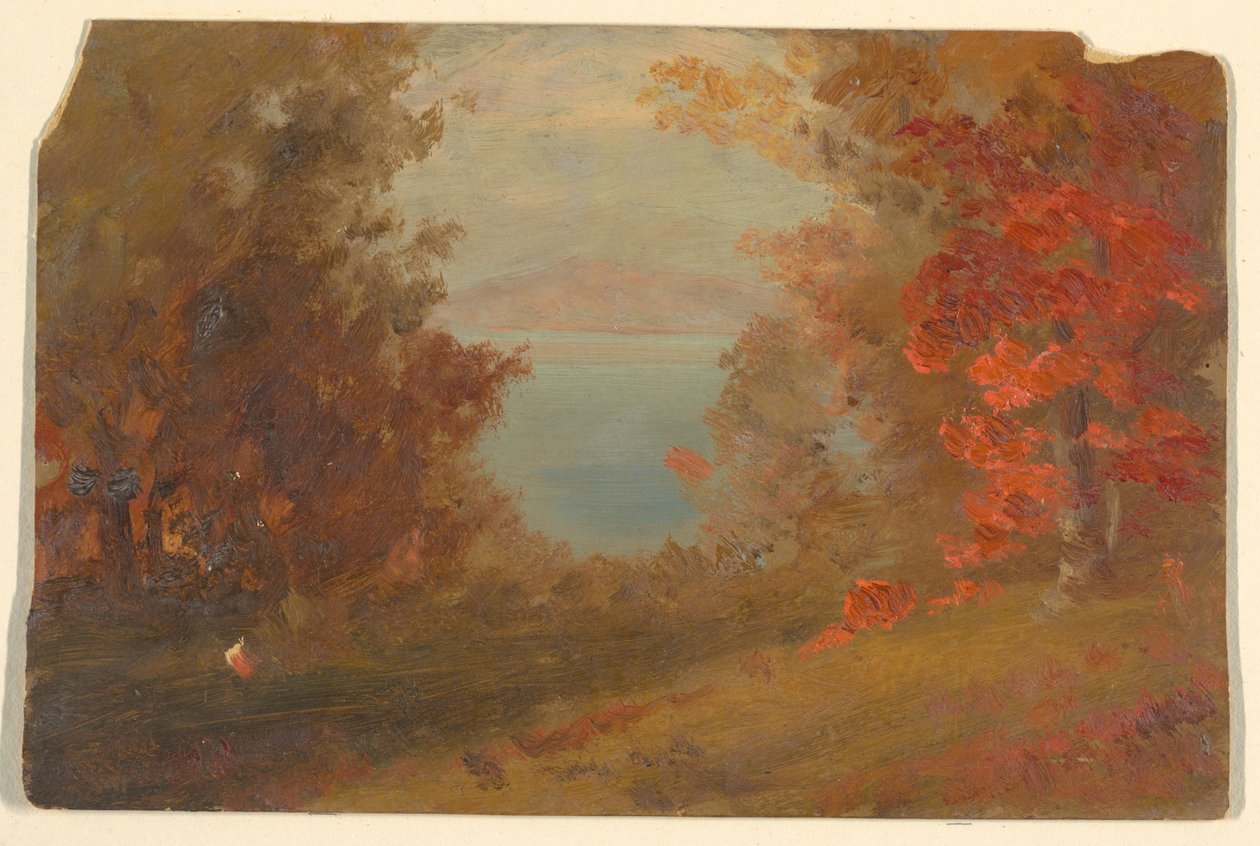 Woodland Scene in Autumn (Hudson, New York or Maine), 1860–70
