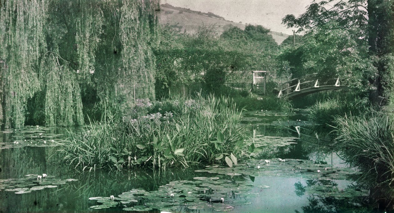 Waterlily Pond and Japanese Bridge in Monet's Garden at Giverny, early ...