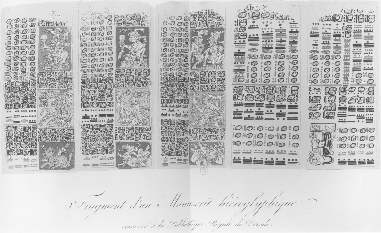 Copy of a Fragment of a Mayan Manuscript Depicting Astronomical Tables