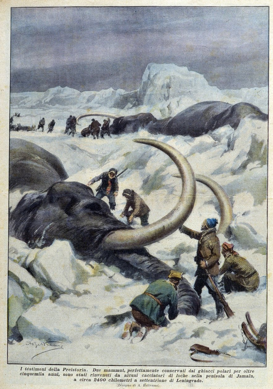 Discovery of prehistoric mammoths caught in polar ice, early 20th century