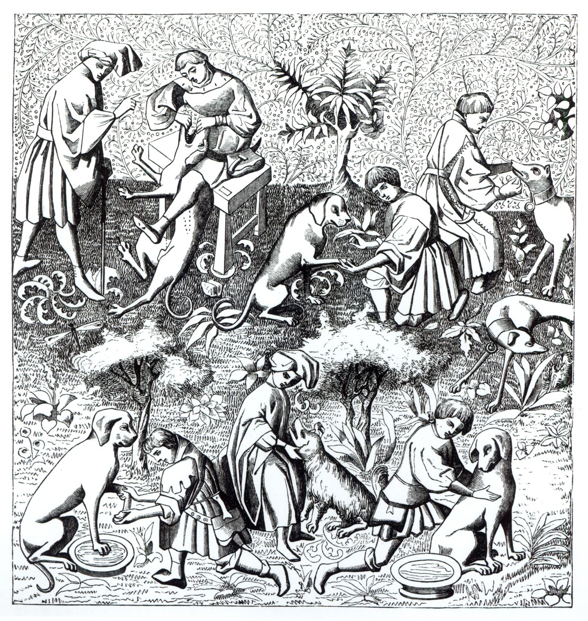 Diseases of Dogs and Their Cure, after a Miniature in the Manuscript of ...