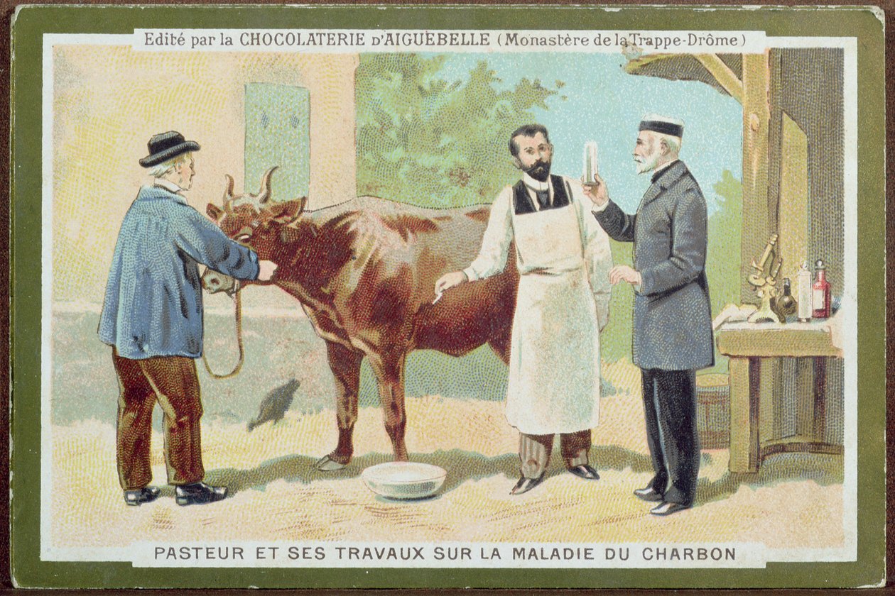 Louis Pasteur Anthrax Louis Pasteur Canvas At AllPosters.com