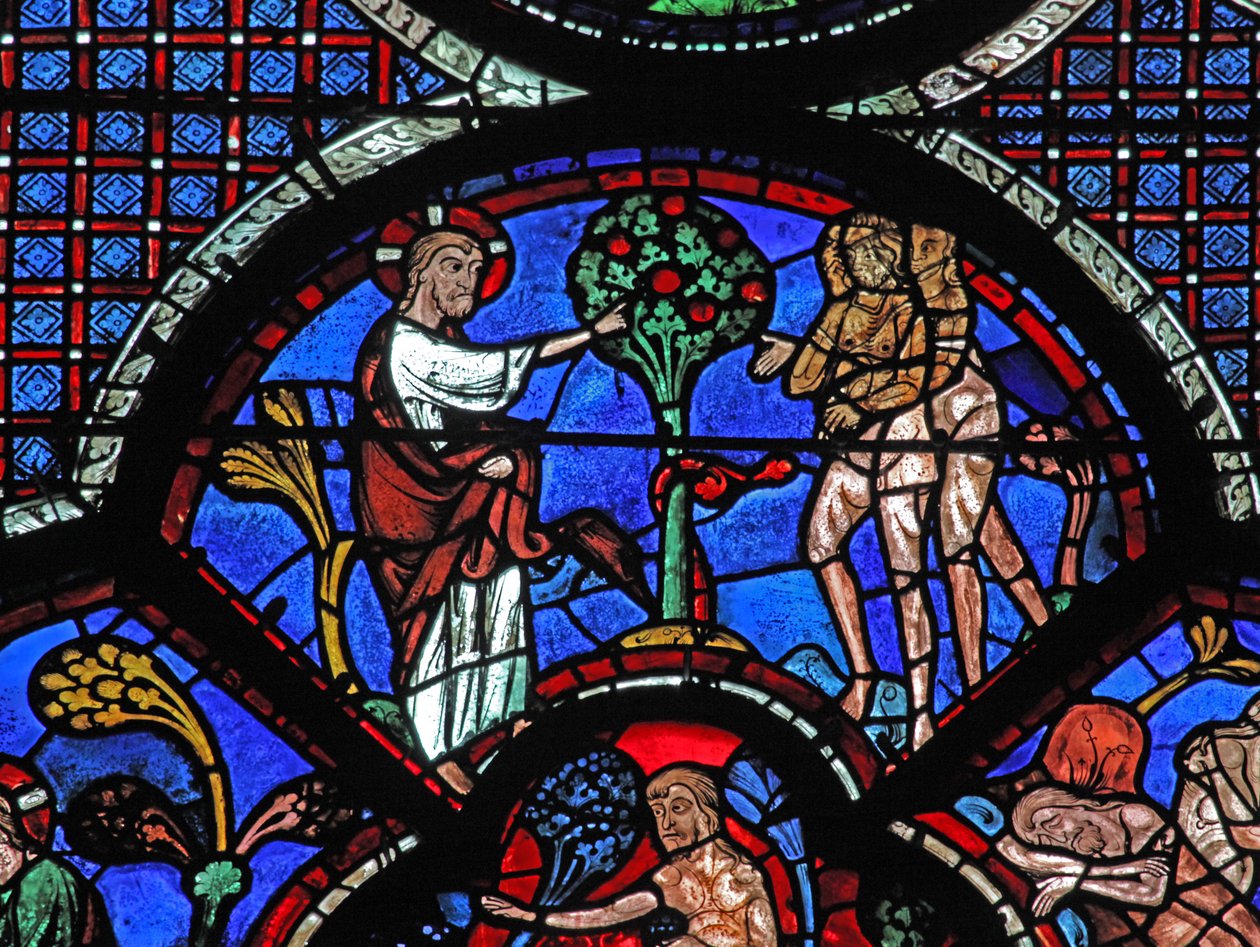 The Good Samaritan Window: God Forbids Adam and Eve to Eat the Fruit of ...