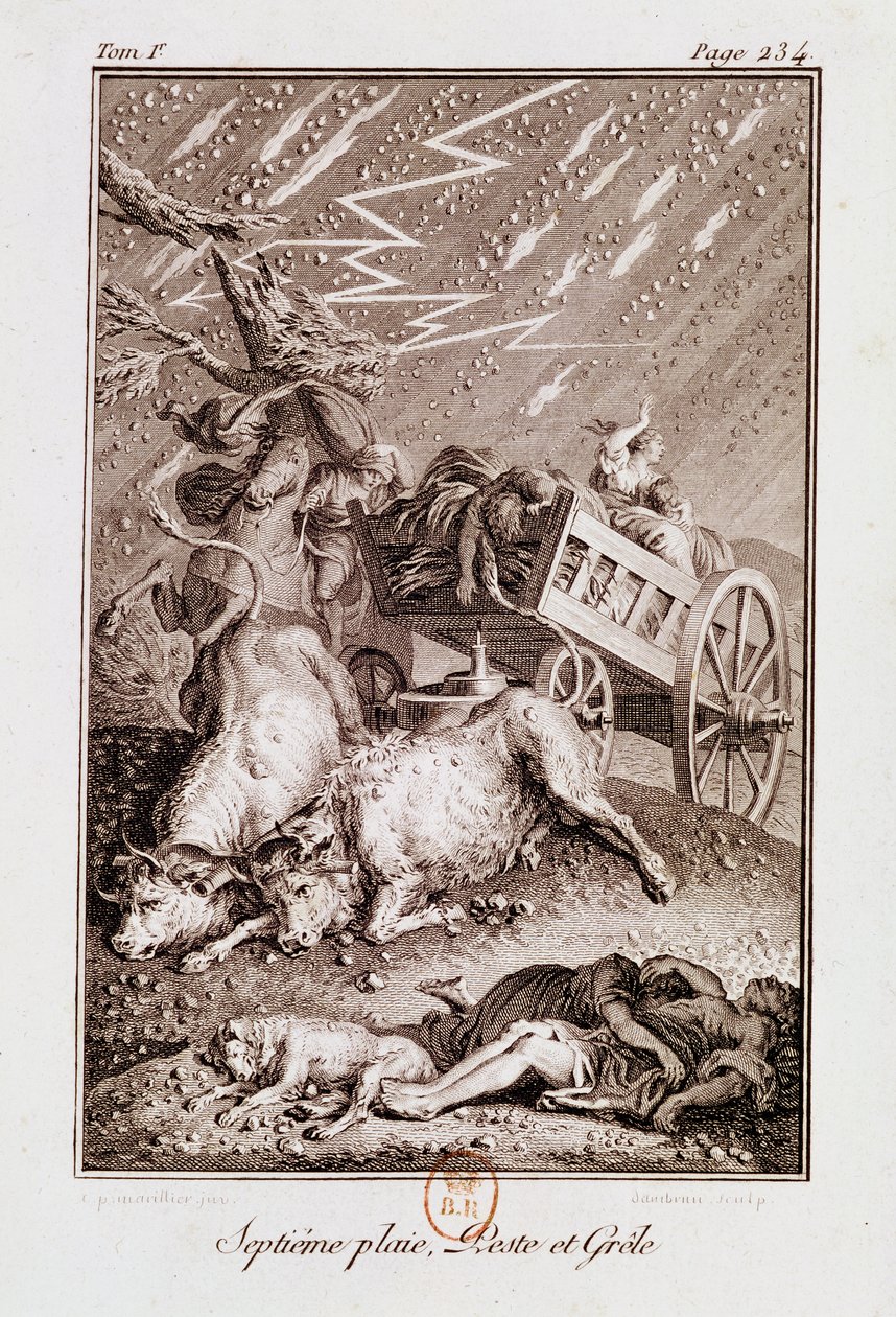 The Plagues of Egypt: The Plagues of Diseased Cattle, Boils and Hail ...
