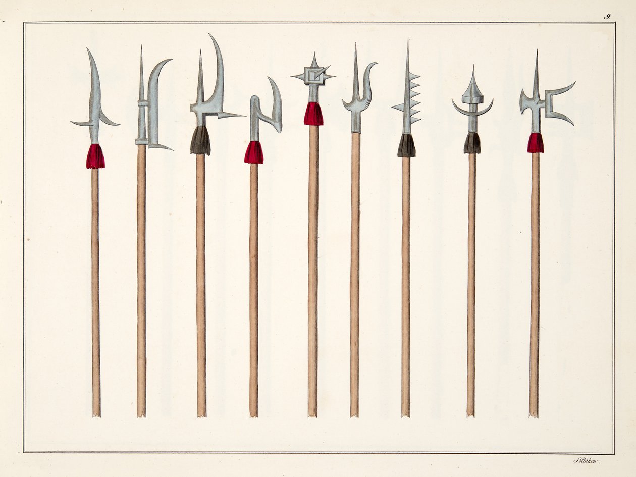 Lances, Spears, Halberds and Partisanes, plate from 'A History of the ...