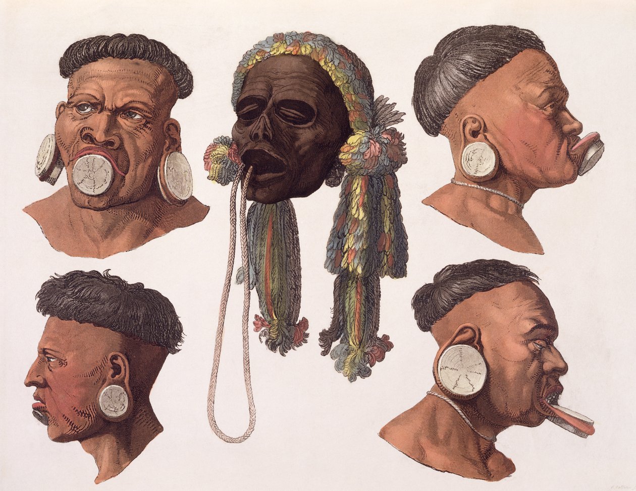 Heads of Botocudos Indians by Gallo Gallina: Fine art print