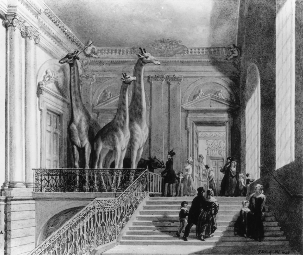 Giraffes on the Staircase in the British Museum