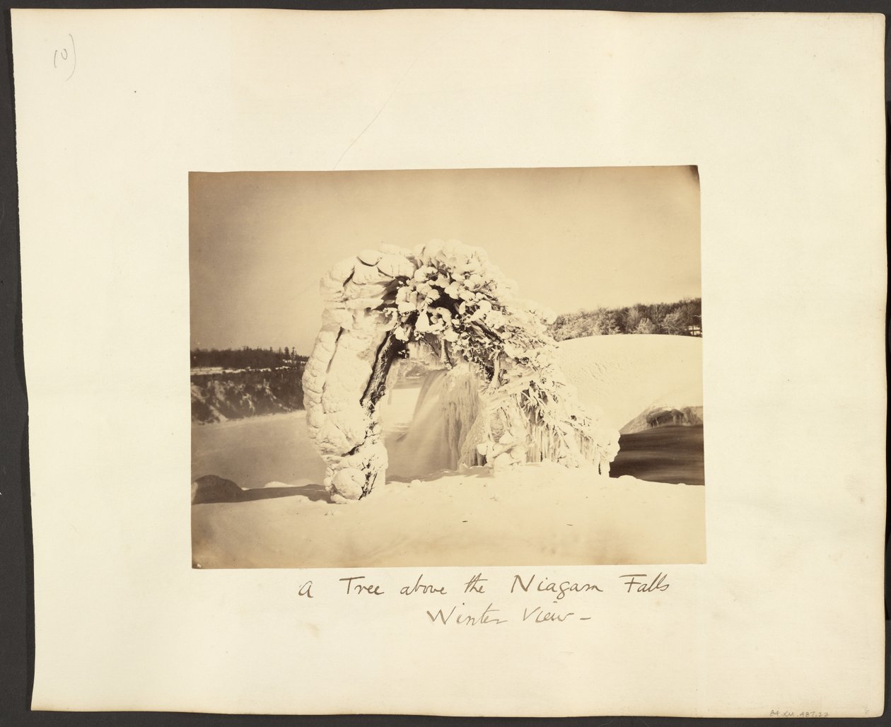 A Tree Above the Niagara Falls by George Barker