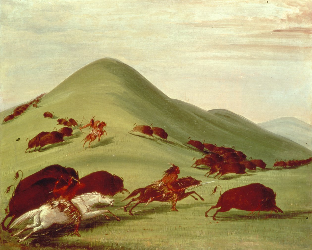 The Buffalo Hunt by George Catlin: Buy fine art print