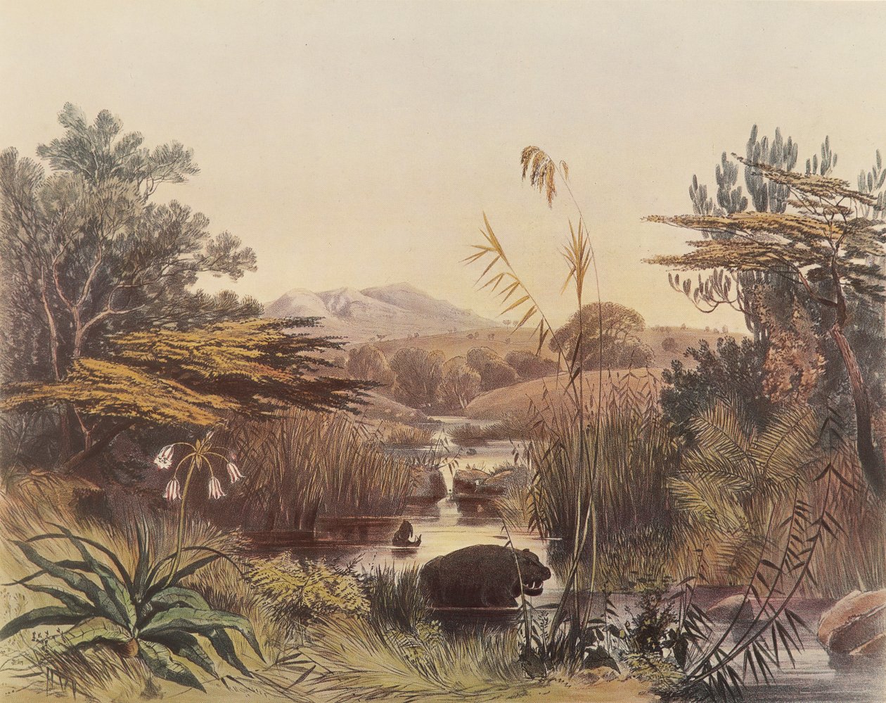 The Umnonoti River at Dusk by George French Angas