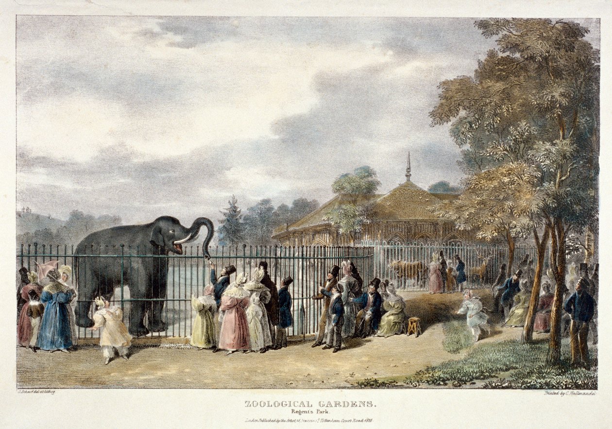 Zoological Gardens, Regent's Park, London by George Scharf