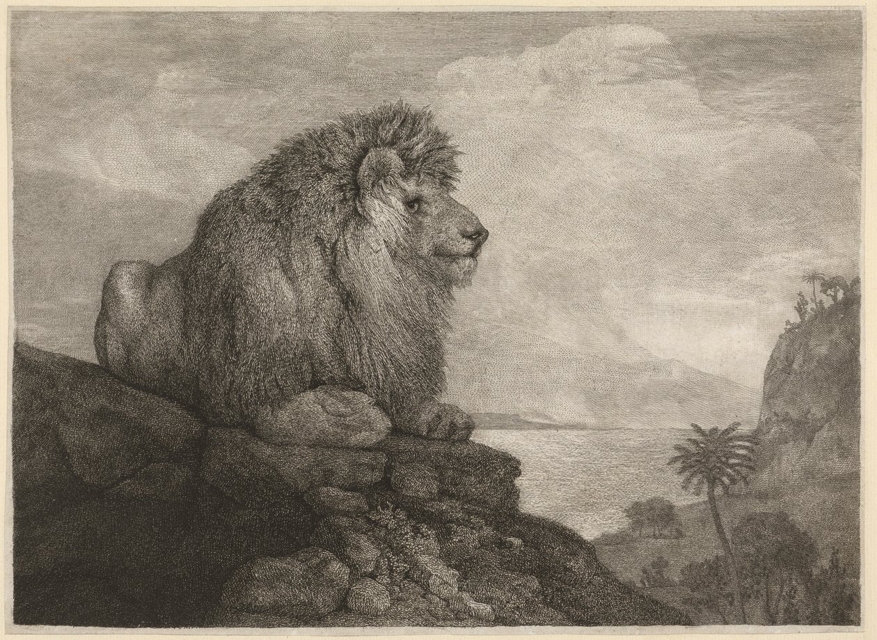 A Lion (A Lion Resting on a Rock), Engraved by the Artist