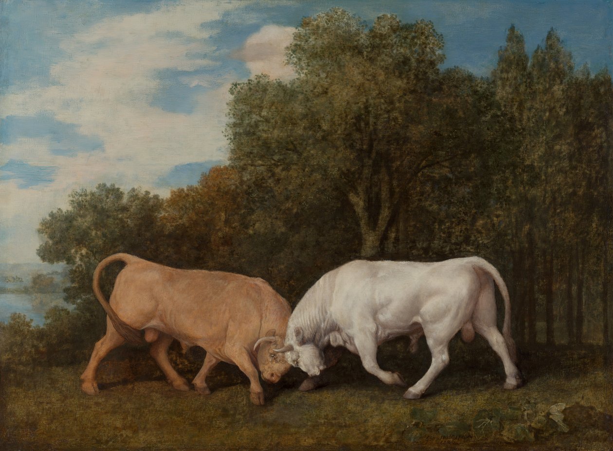 Bulls Fighting by George Stubbs: Premium art reproduction