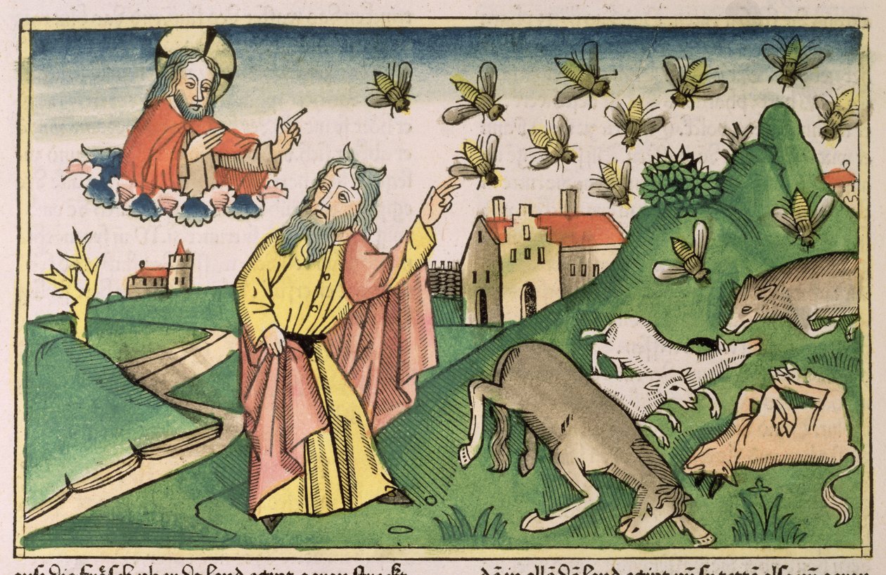 Exodus 8 20-32 The Seven Plagues of Egypt: Moses and the swarm of flies ...