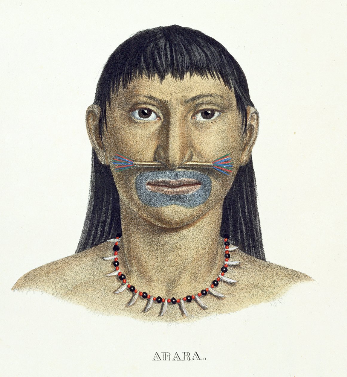 Native Man of the Arara Tribe with Blue Face Paint, from Atlas of a ...