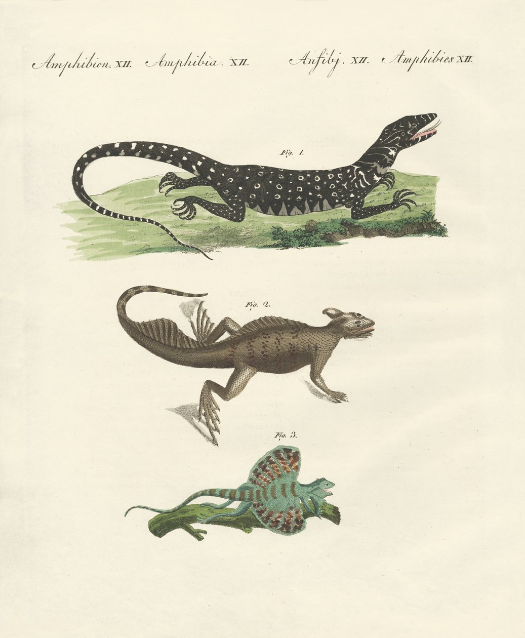 Three kinds of strange lizards by German School