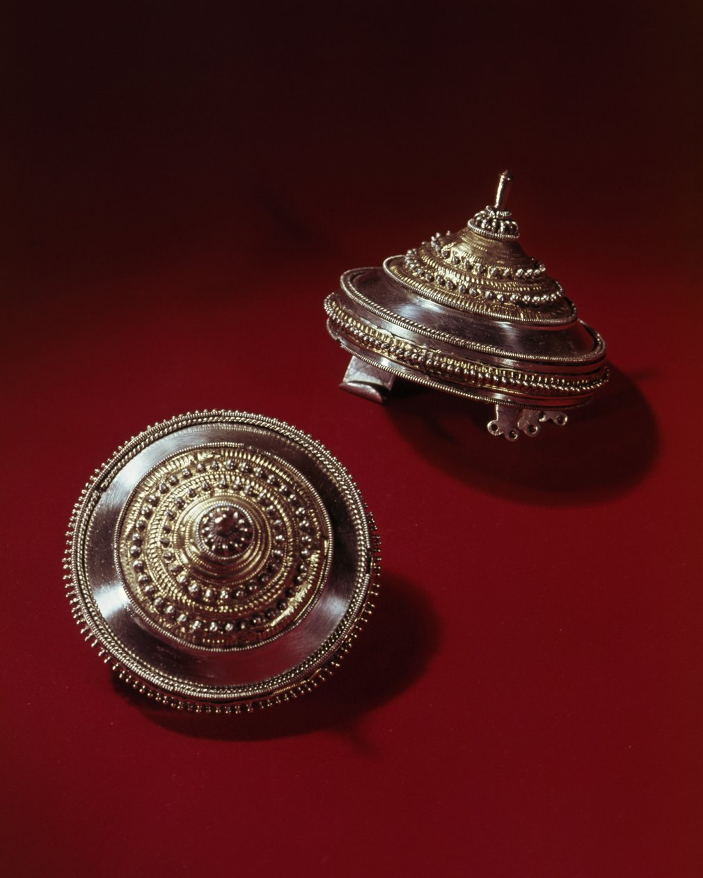 Tutulus Fibular Pair by German School: Buy fine art print