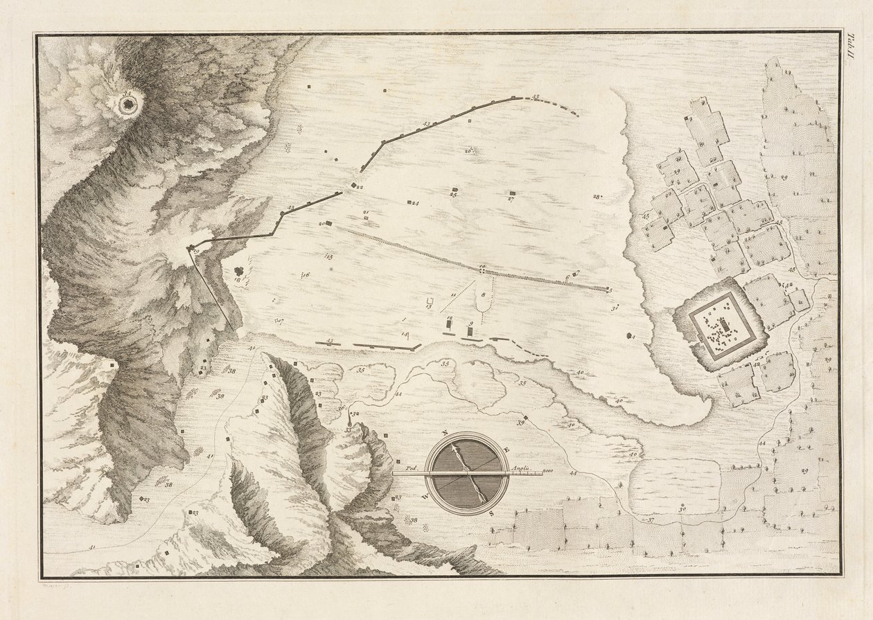 A Geometrical Plan of the Ruined City of Palmyra, 1753
