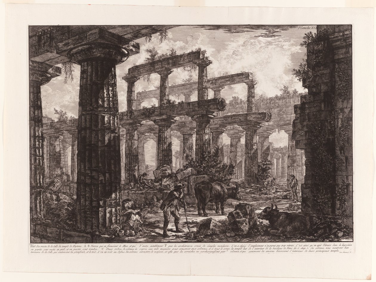 View of the Remains of the Cella of the Temple of Neptune, from ...