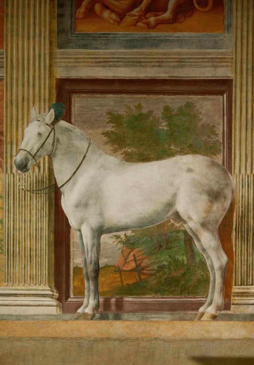 The Horses' Hall with Murals of Federico II Gonzaga's Favorite Horses