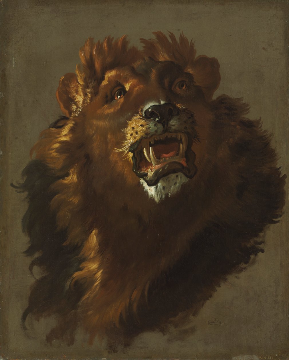 Lion, 1750s by Giuseppe Baldrighi: Buy fine art print