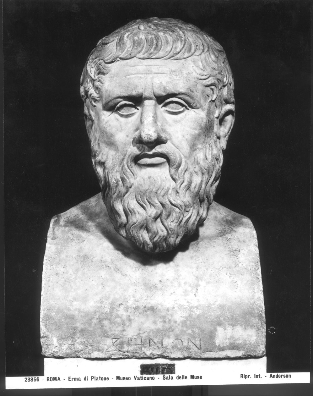 Bust of Plato by Greek: Highest-quality art reproduction