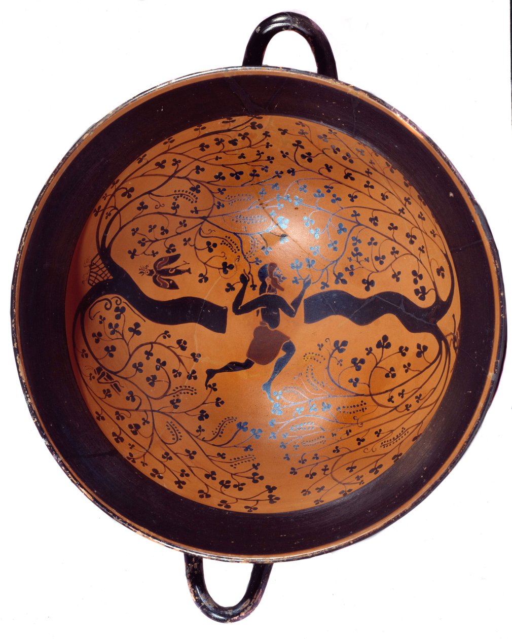 Ionian cup in ceramic with black figures known as cup with the bird